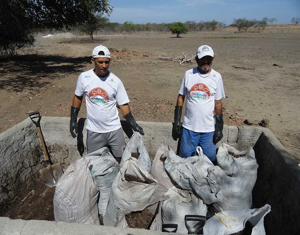 Entenda o que é e como funciona a compostagem