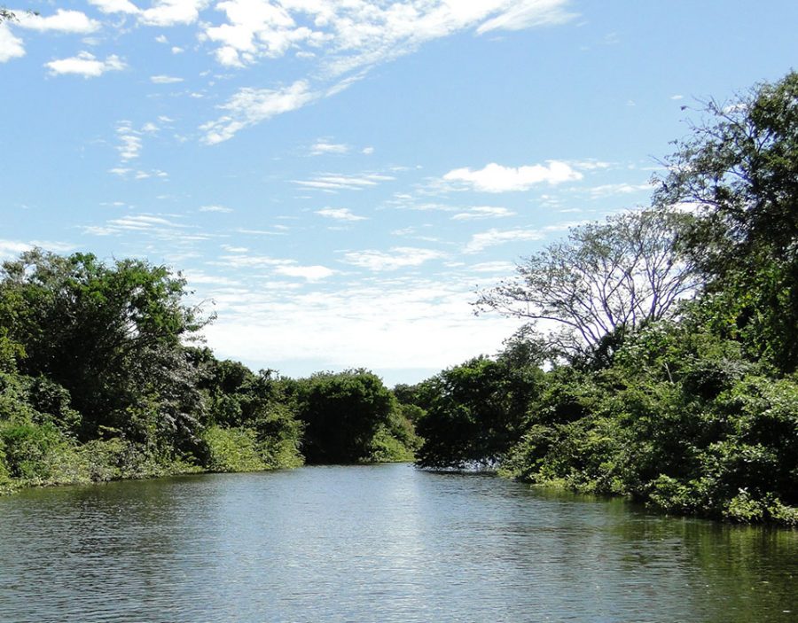 O que é assoreamento?