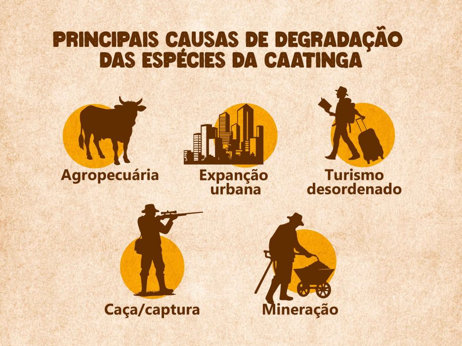 Fauna e Flora da Caatinga