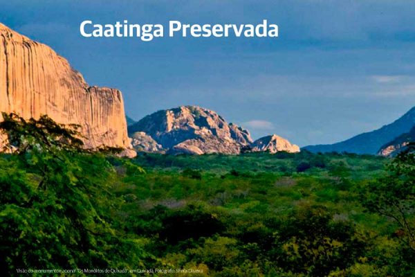 Associação Caatinga - Nossa história