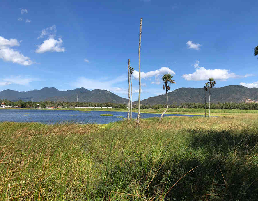 O que é assoreamento?