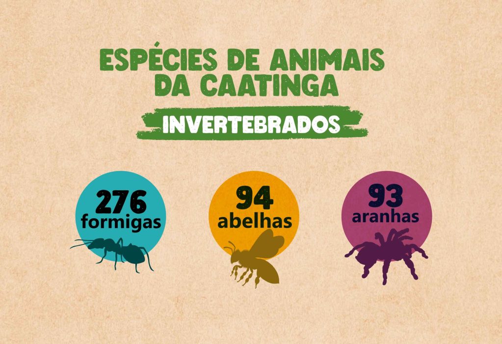 Fauna e Flora da Caatinga