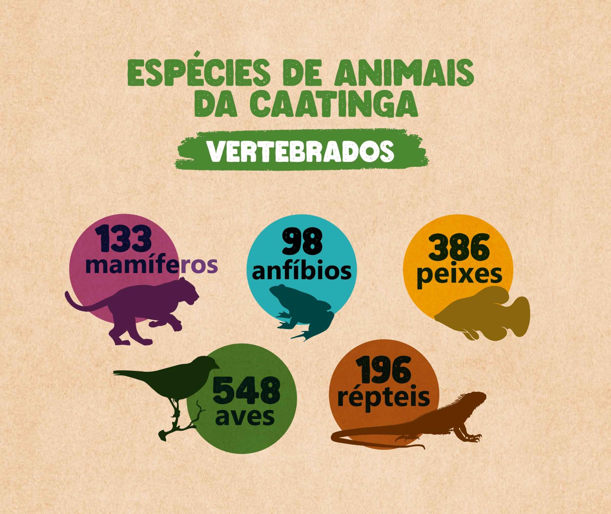 Fauna e Flora da Caatinga